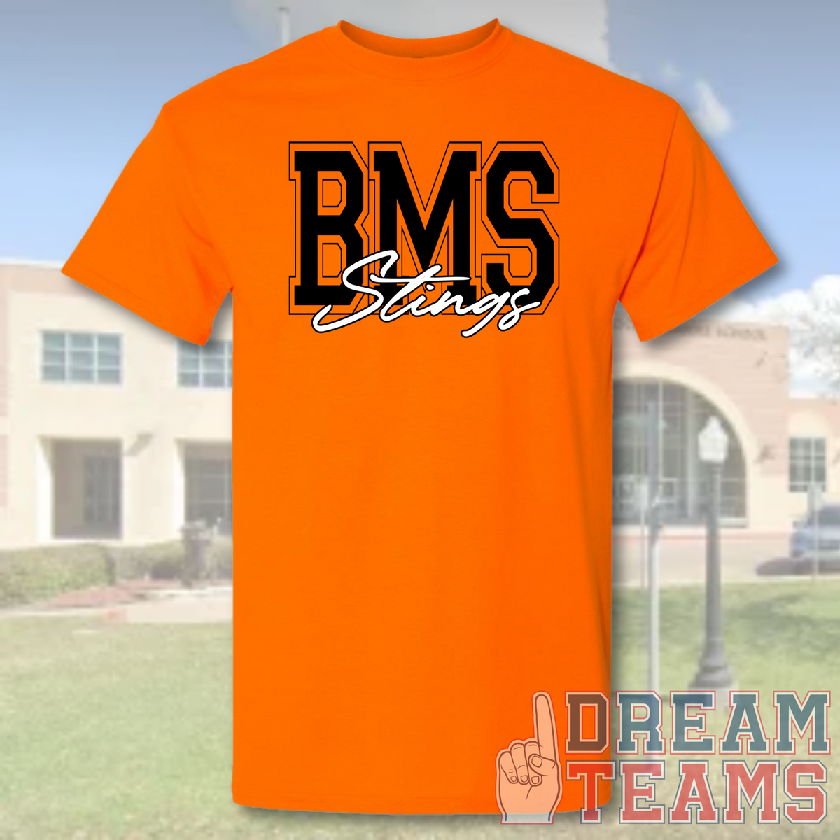 Blocker Middle School Stings - BMS* – Dream Teams