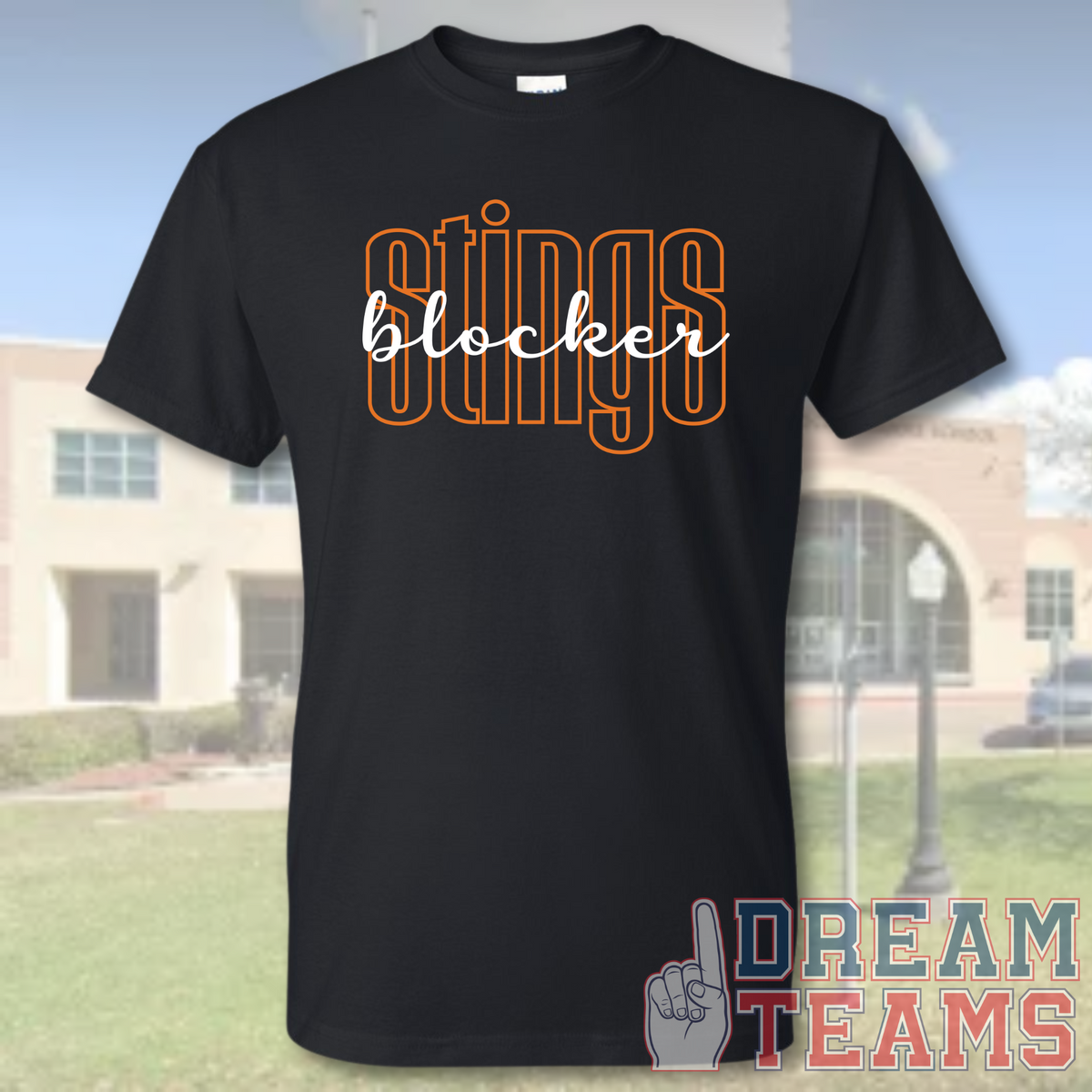 Blocker Middle School Stings - Outline* – Dream Teams